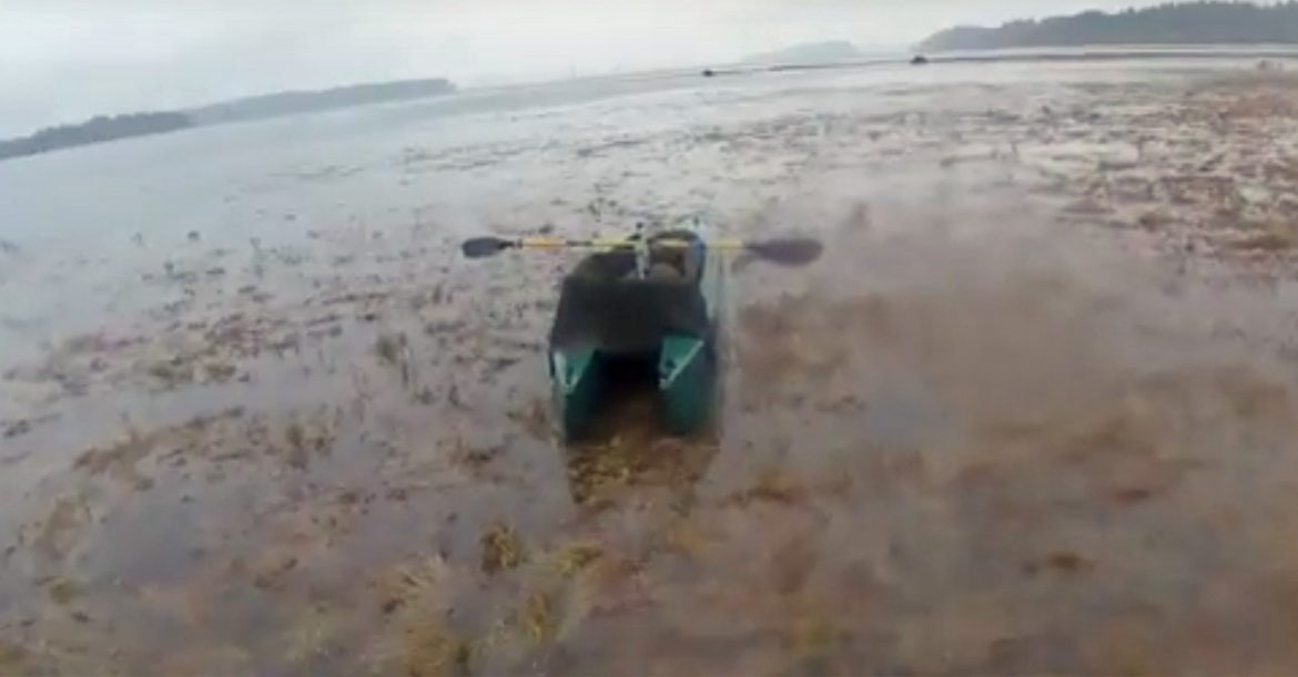 This week’s kayak duck hunting trip – STABLE KAYAKS AND MICROSKIFFS ...