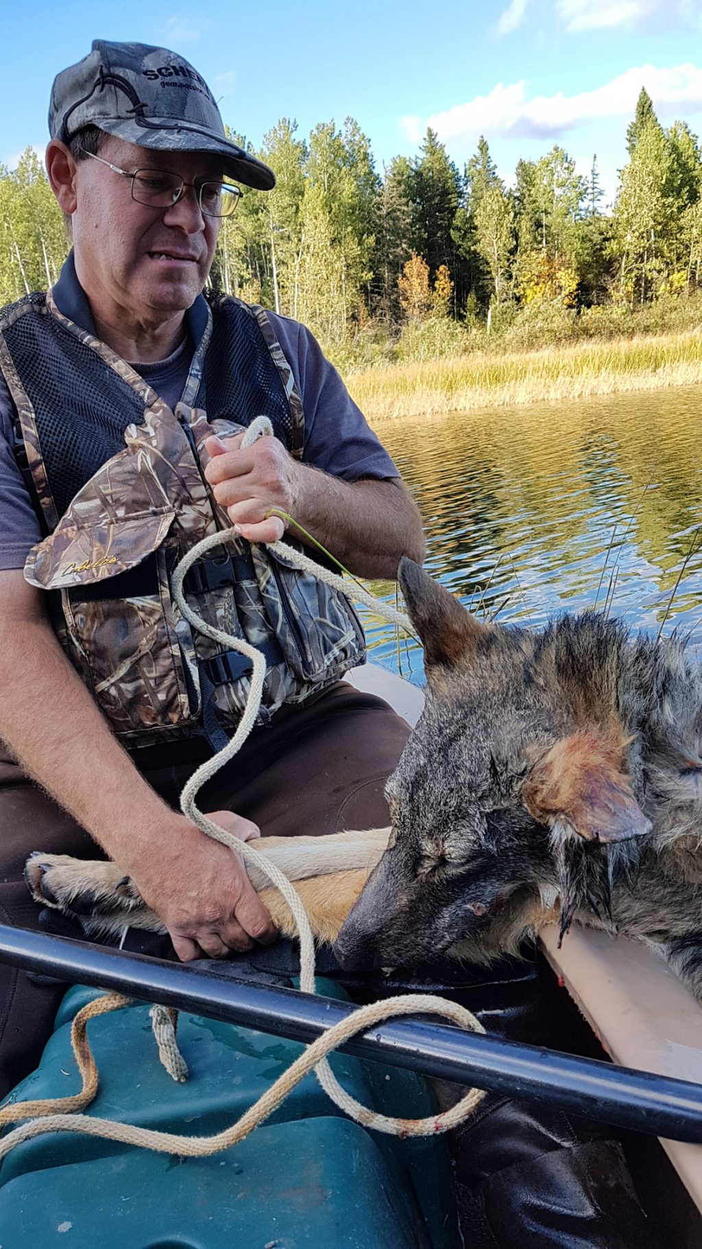 Shooting a timberwolf while hunting geese – STABLE KAYAKS AND ...