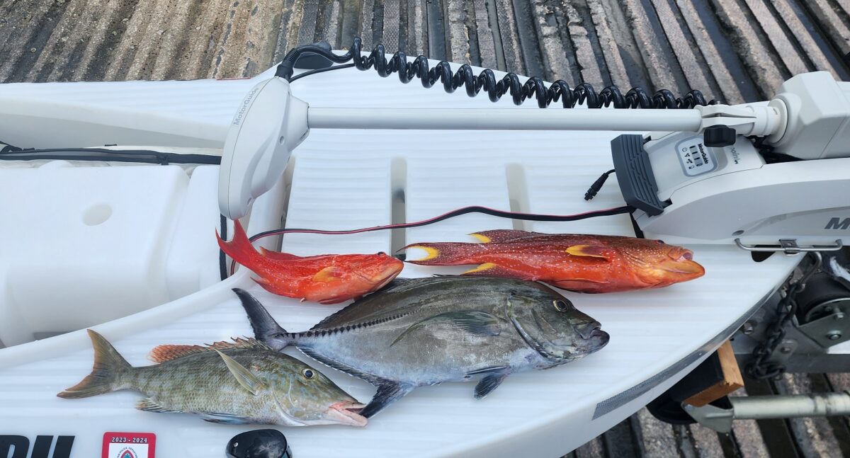 Back to fishing in my S4 after super typhoon Mawar, Guam – STABLE ...
