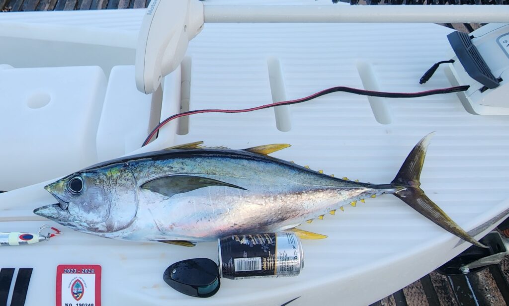 Back to fishing in my S4 after super typhoon Mawar, Guam – STABLE ...